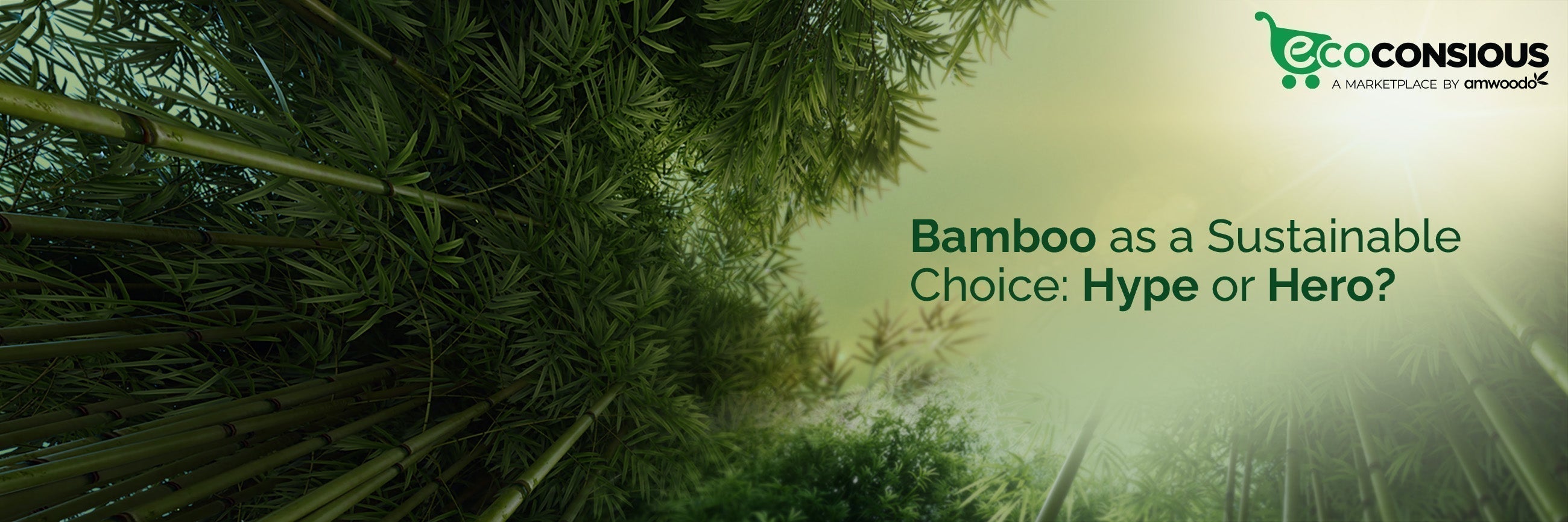 Is Bamboo Really Sustainable? Decoding the Myths & Facts – Imeco India